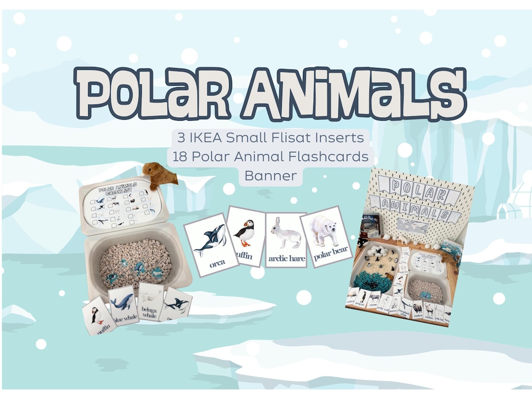 Polar Animals Flashcards and Flisat Table Inserts - Etsy