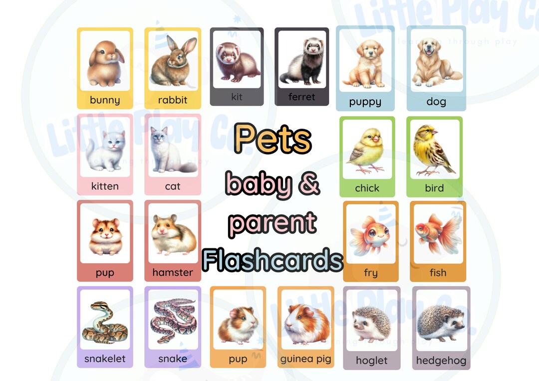 Pets Baby and Parent Flashcards - Etsy