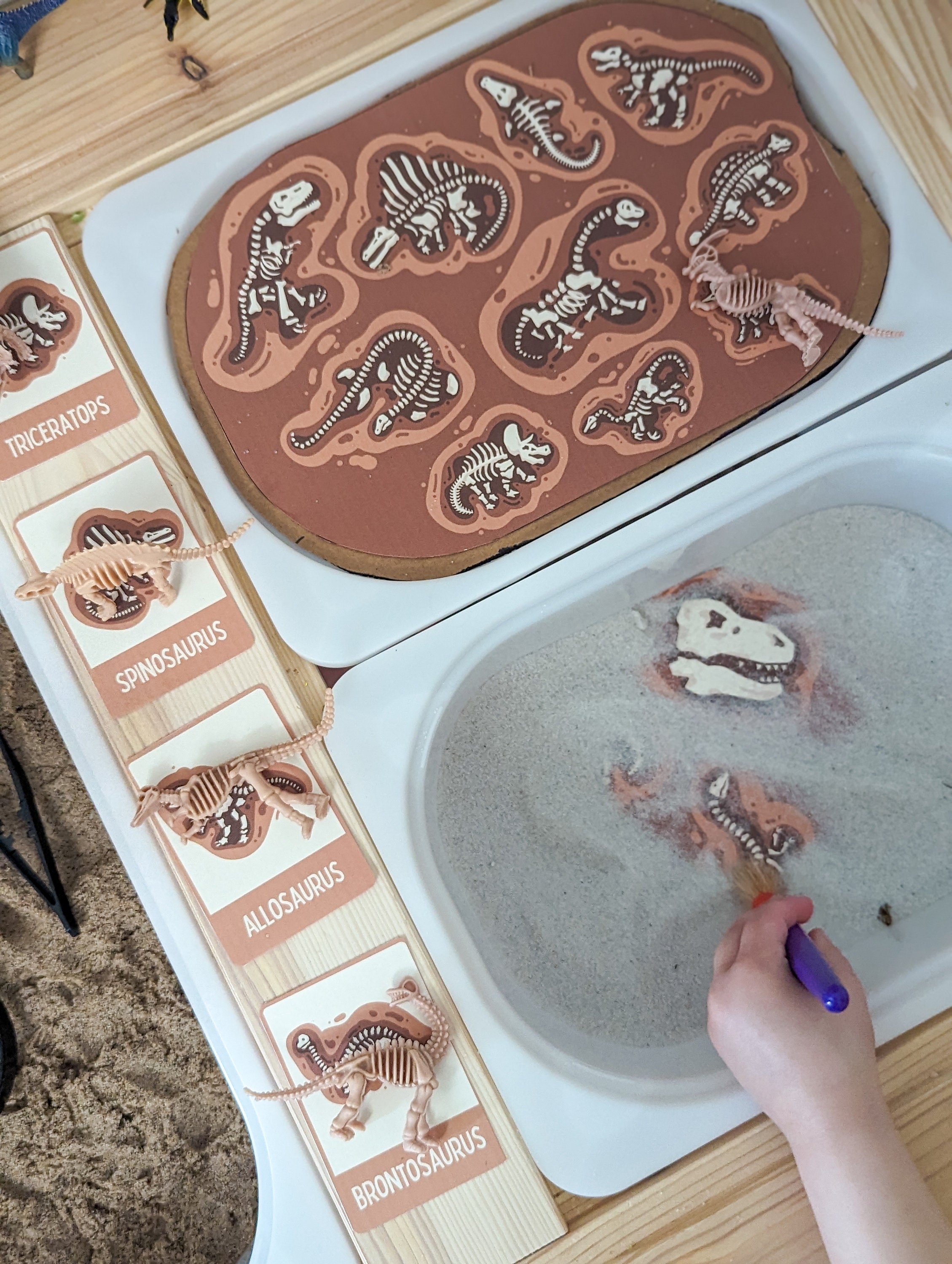 Dino Dig Flisat Insert Printables & Flashcards - Etsy