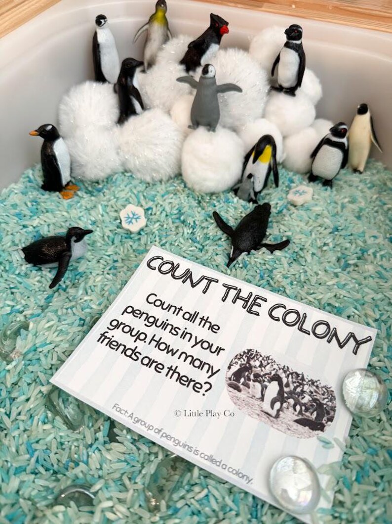 Penguin Sensory Printables - Etsy