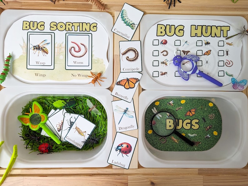 Bugs Printable Pack for Learning, Sensory Play, Flisat, Pretend Play - Etsy