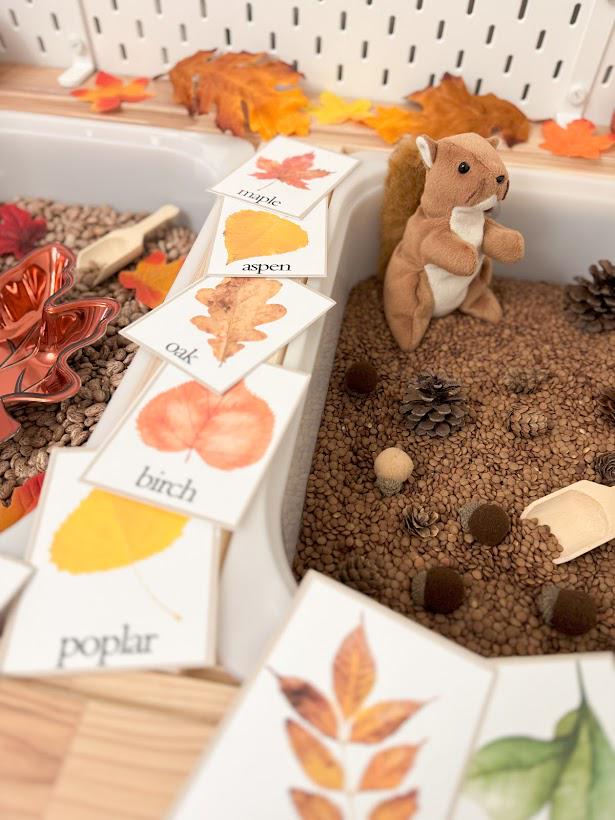 Leaves Flashcards Printable Set - Etsy