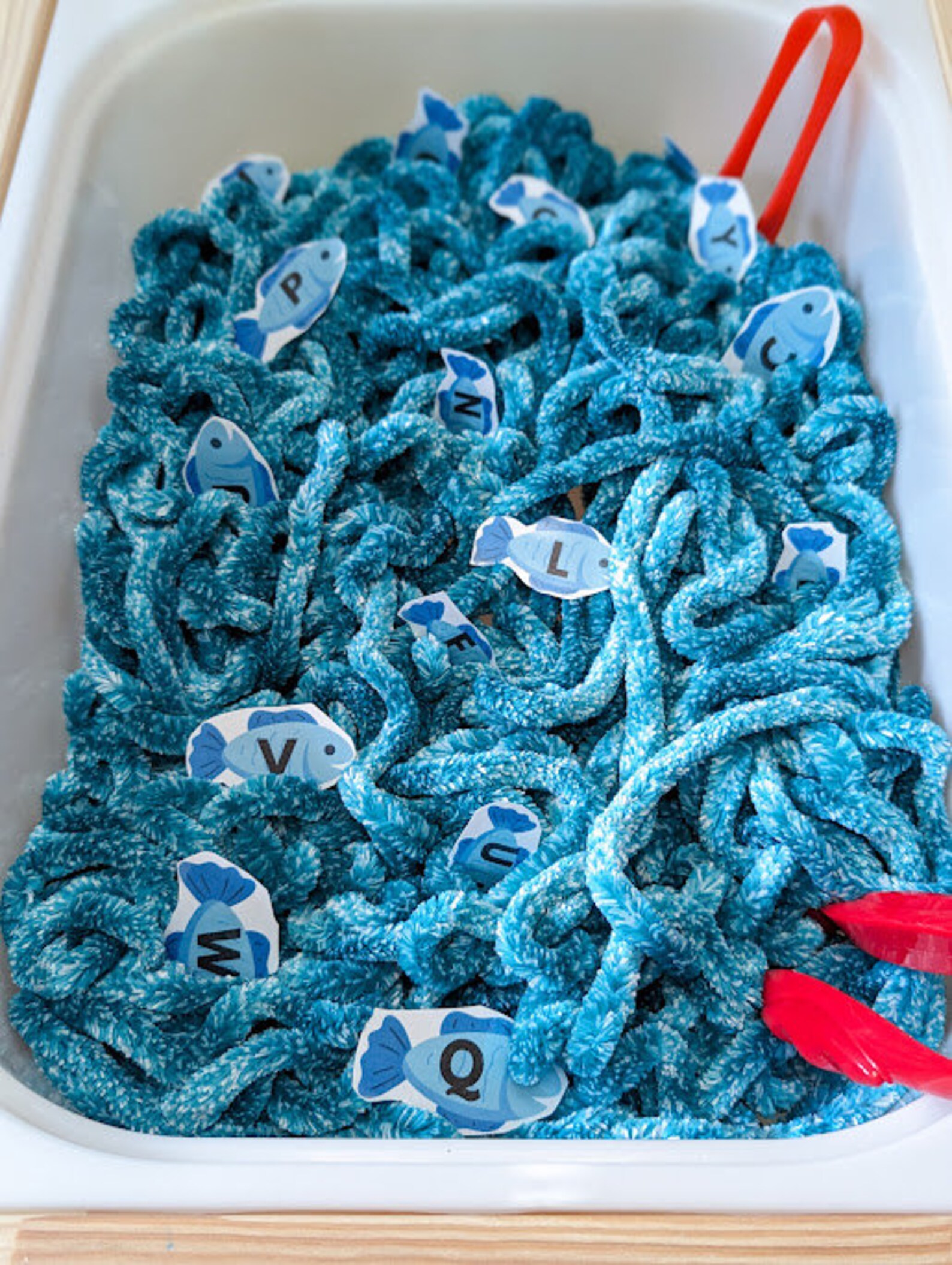 Feed the Shark Abcs Printables - Etsy