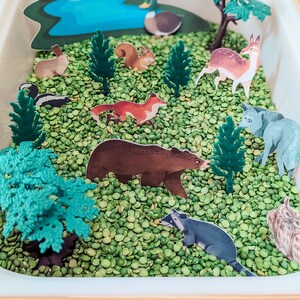 Forest Printables for Sensory Bins, Hands-on Learning, & Pretend Play ...