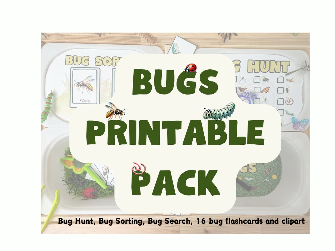 Bugs Printable Pack for Learning, Sensory Play, Flisat, Pretend Play - Etsy