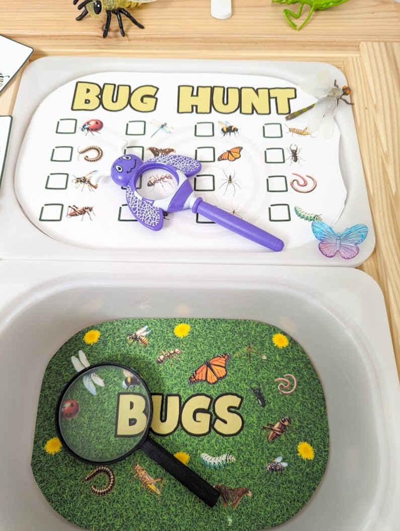 Bugs Printable Pack for Learning, Sensory Play, Flisat, Pretend Play - Etsy