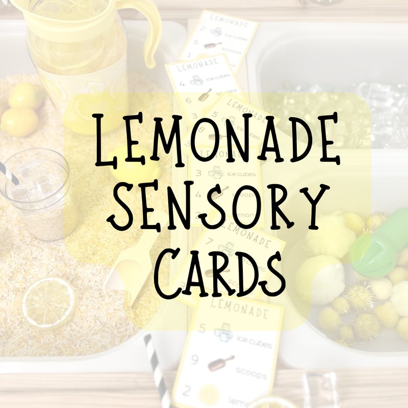 Sensory Bin - Etsy