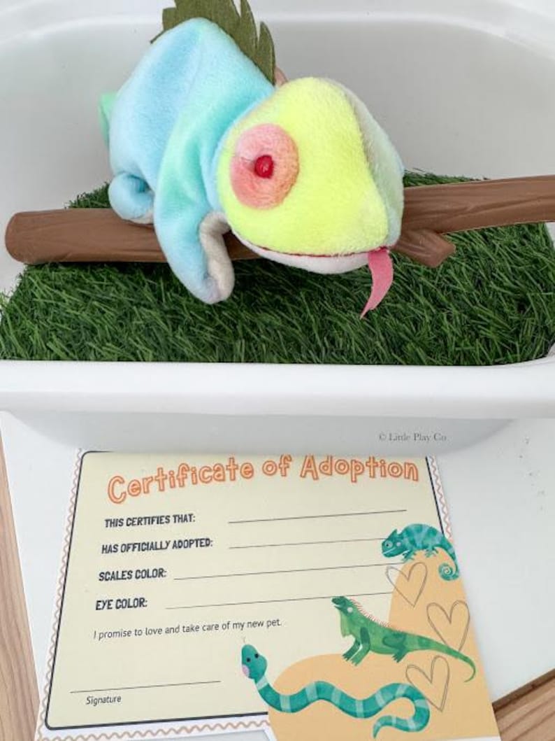 Pet Shop Pretend Play Labels, Checkup, and Adoption Certificates - Etsy
