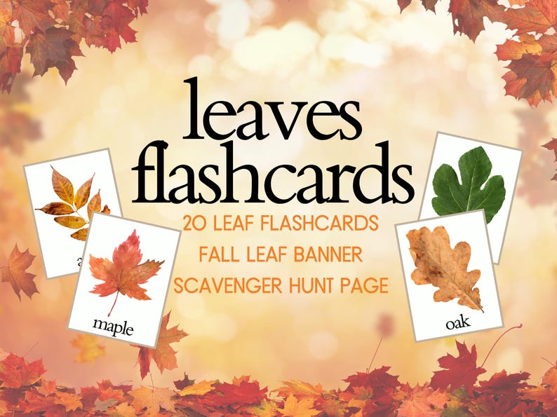 Leaves Flashcards Printable Set - Etsy