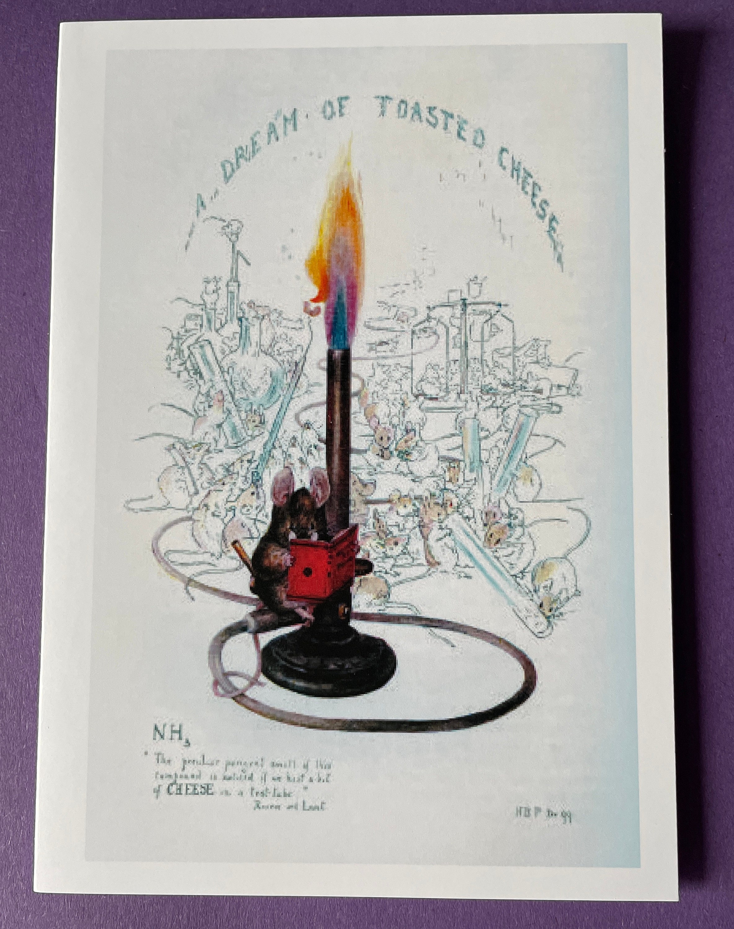 Beatrix Potter 'A Dream of Toasted Cheese' Blank Greetings Card ...