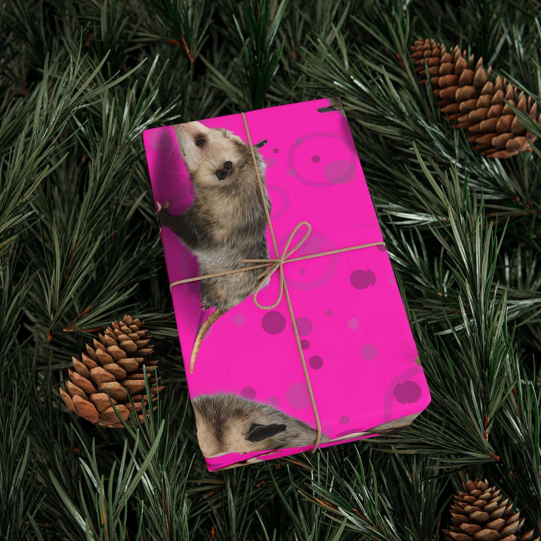 Possum Party Wrapping Paper for Any Occasion Fun Funny Cute Whimsical ...