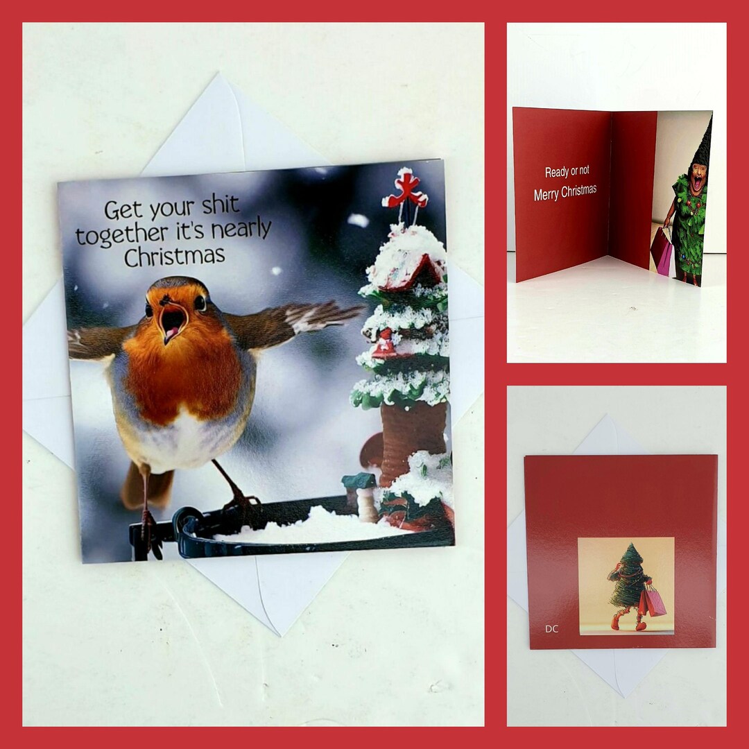 Rude Cheeky Funny Christmas Card Robin Red Breast Funny Fun Christmas ...