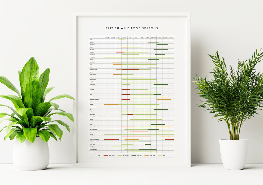 British Wild Food Calendar, Foraging Seasons Print, Seasonal Foraging ...