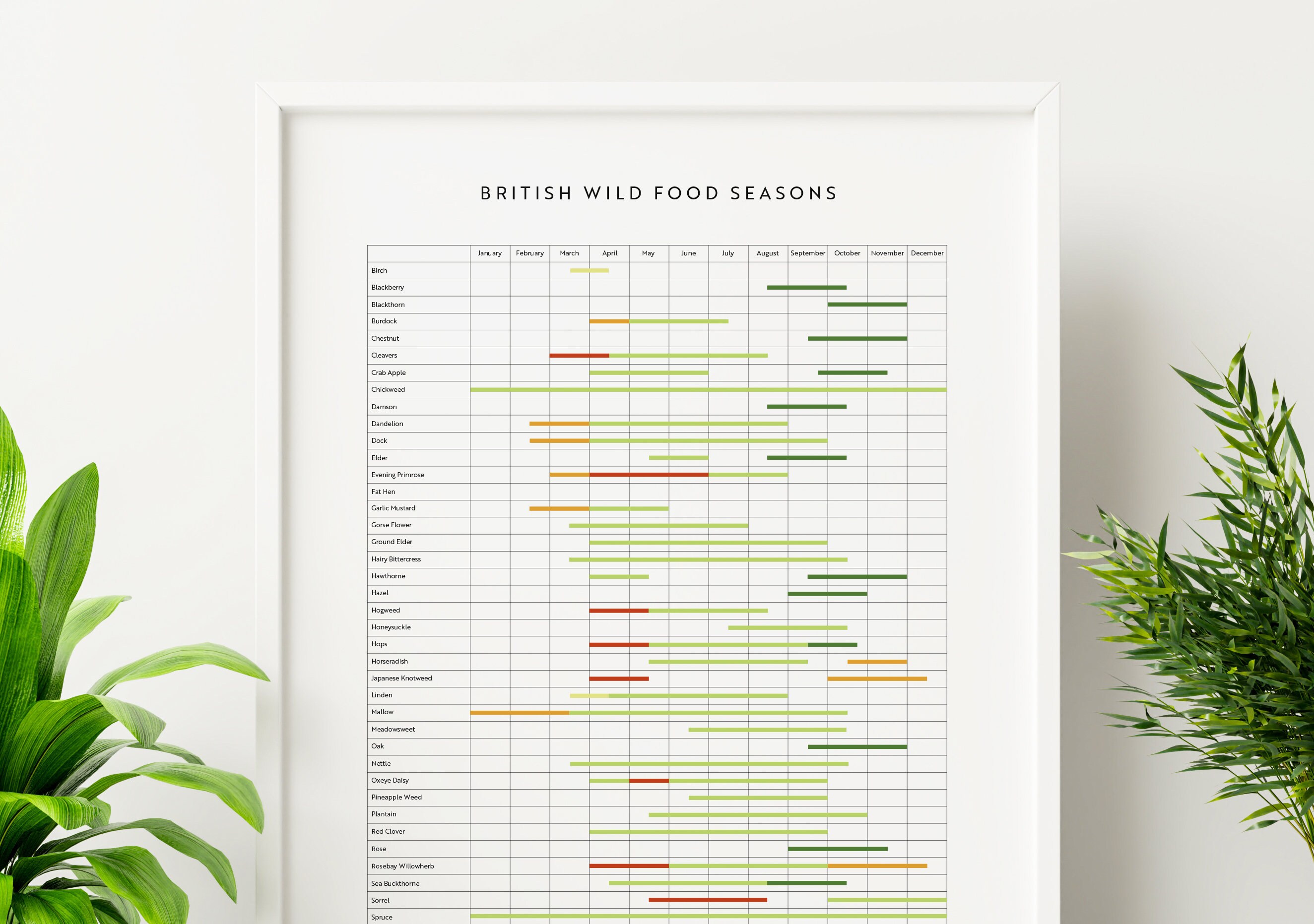 British Wild Food Calendar, Foraging Seasons Print, Seasonal Foraging ...