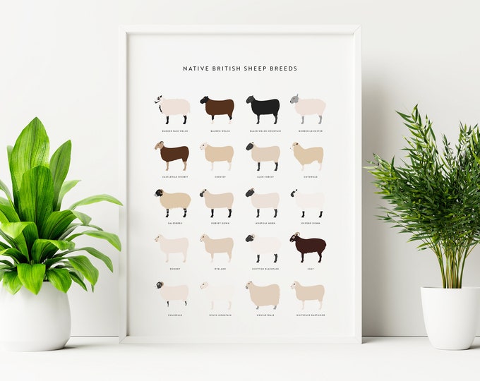 British Sheep Breeds Sheep Art Print Poster Sheep Gifts Farm Animals Prints Sheep Types Print A4 ...