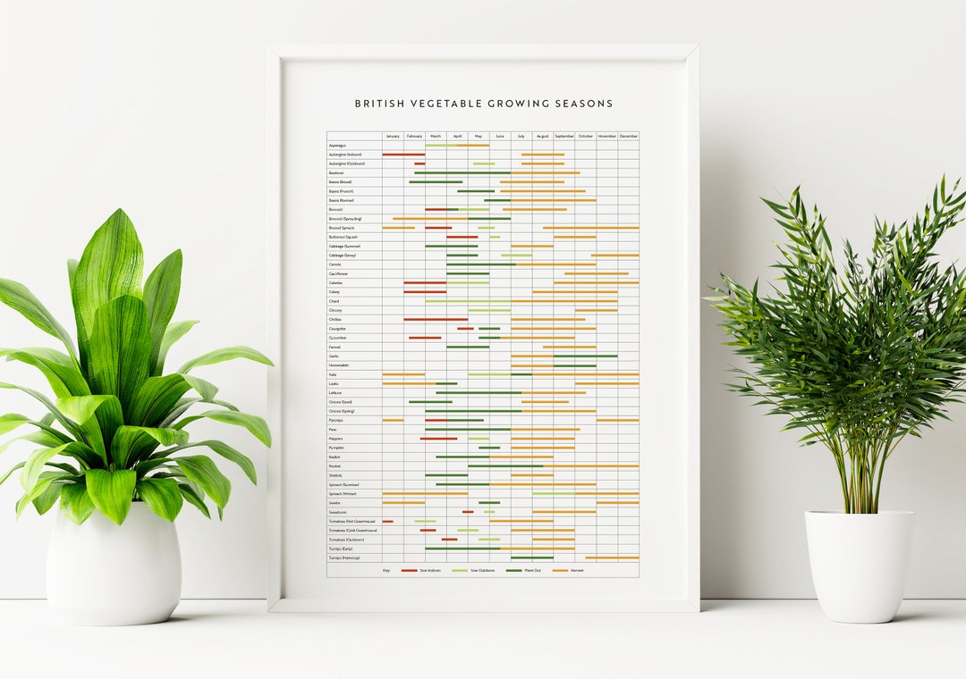 British Vegetable Growing Calendar, Garden Wall Art (digital Print) - Etsy