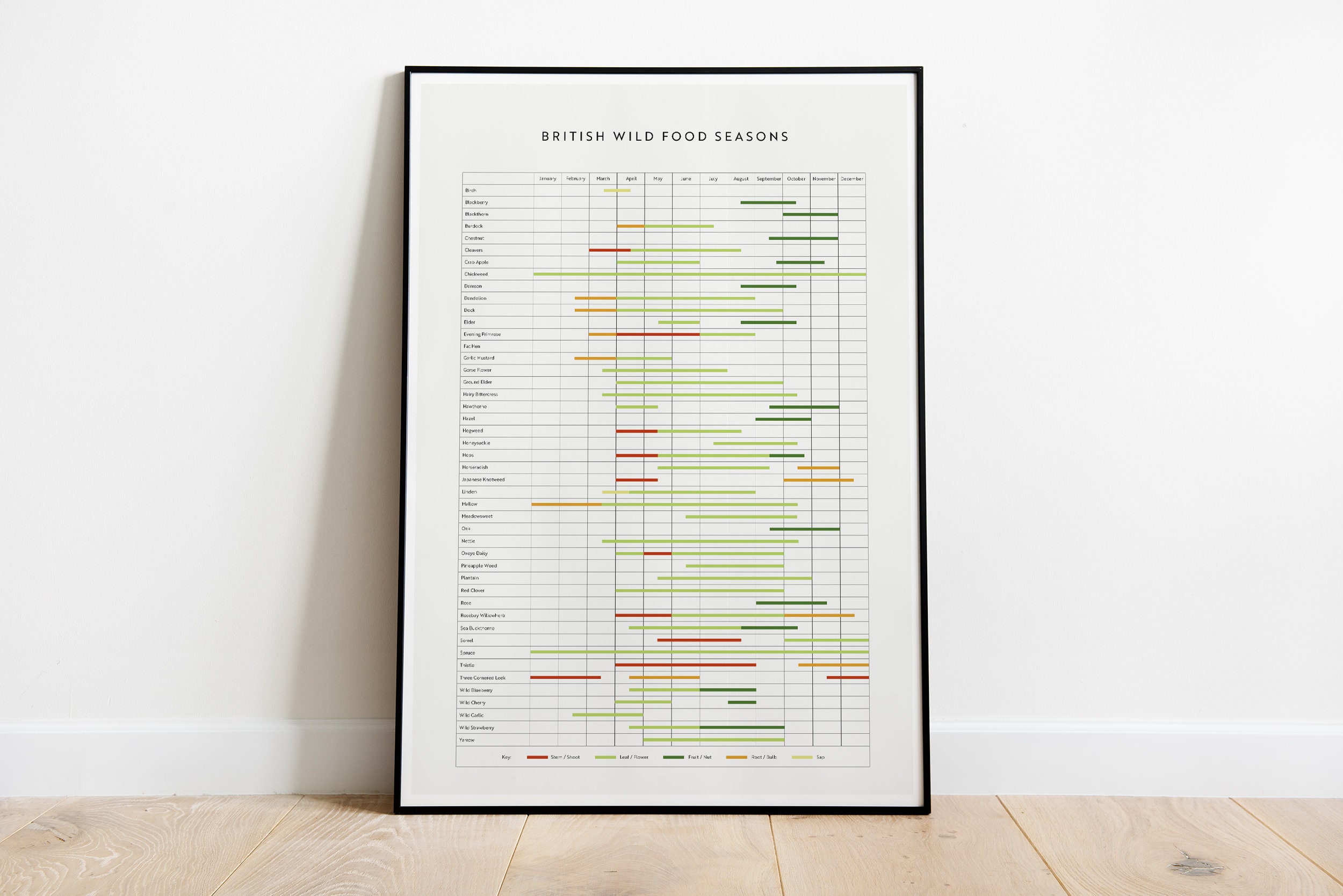 British Wild Food Calendar, Foraging Seasons Print, Seasonal Foraging ...