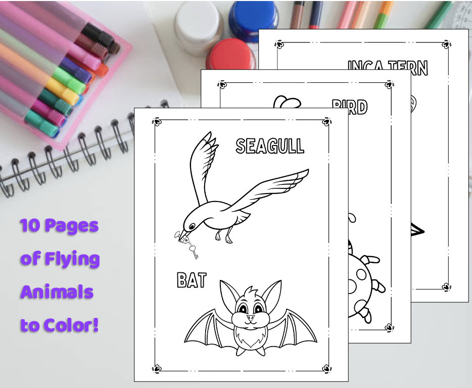 Flying Animals Coloring Sheets Instant Digital Download - Etsy