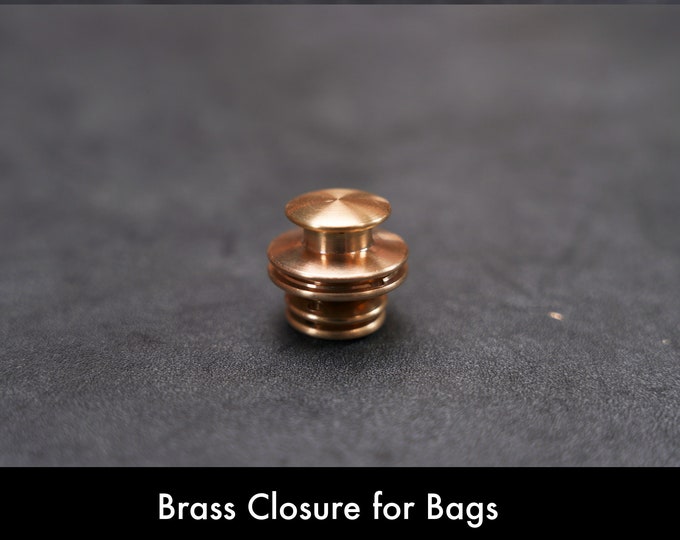 Hook Lock - Solid Brass - Clip Buckles - Lock Bag - Lock Snap ...