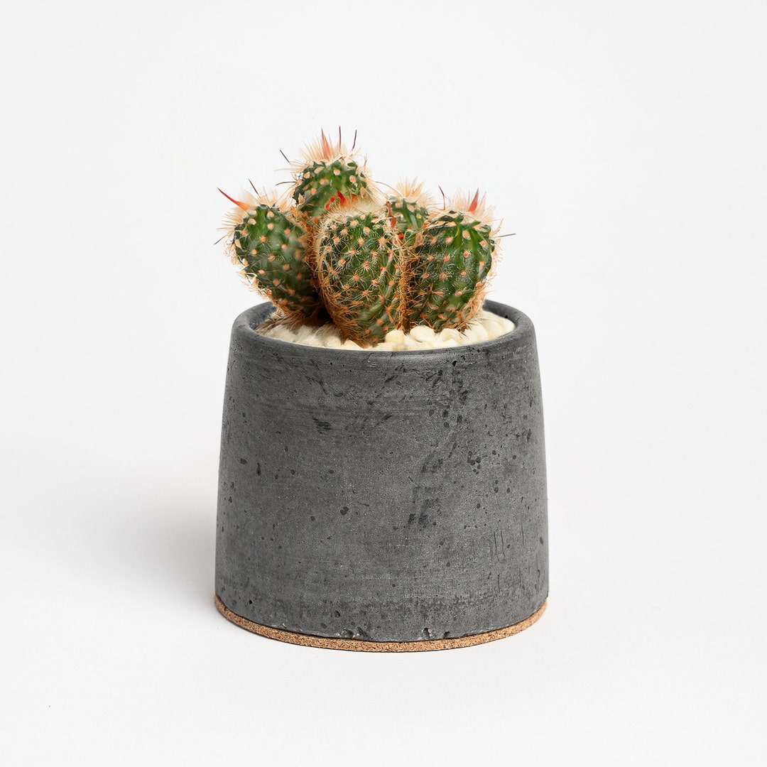 Farbauti Hanf Beton Blumentopf | Blumentopf für innen | Geschenk für ...