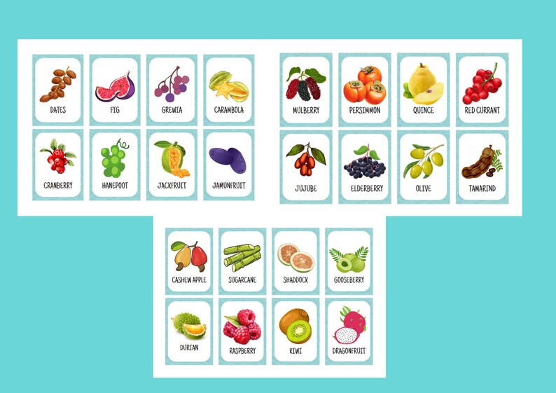 24 Fruits Flashcards - Part 2 - Etsy