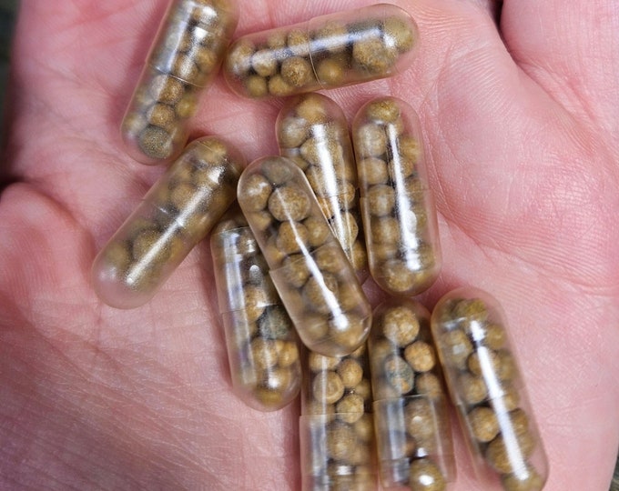 Root Fertilizer Tabs for Aquarium Plants - Etsy