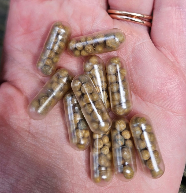 Root Fertilizer Tabs for Aquarium Plants - Etsy