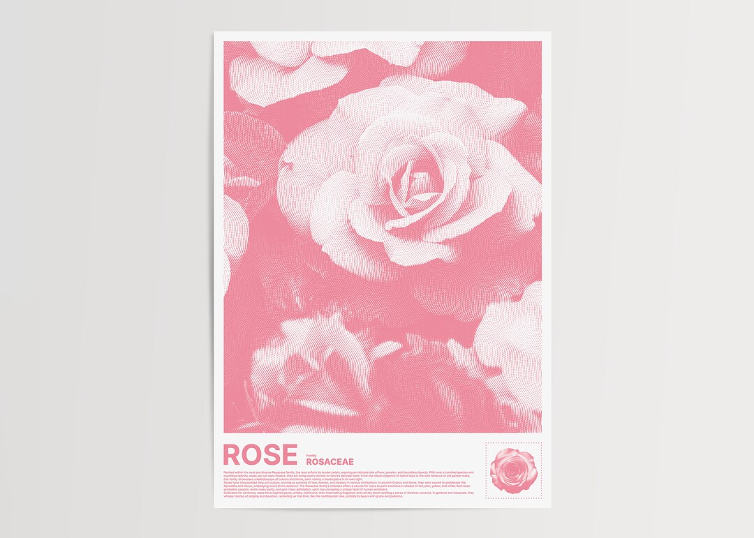 Rose Flower Poster - Aesthetic Minimalist Wall Art Print for Dorms ...