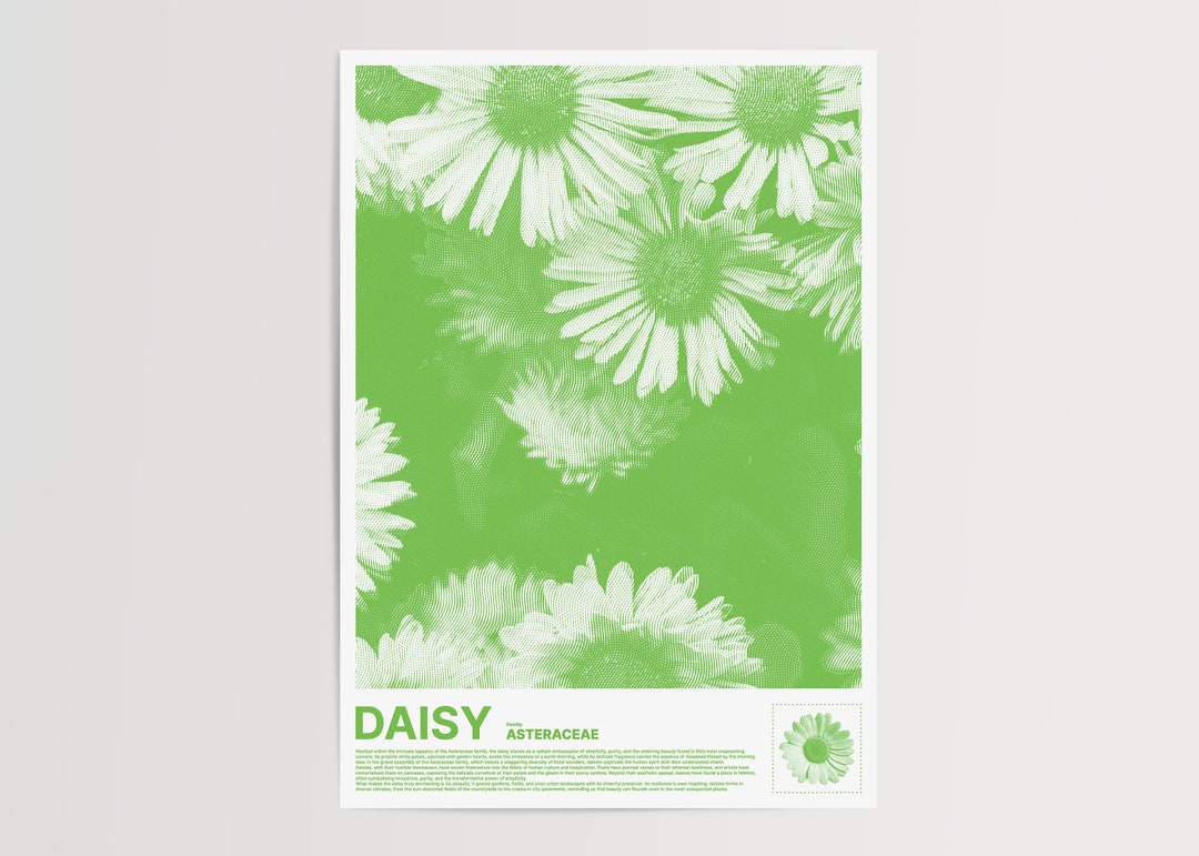 Daisy Flower Poster Aesthetic Minimalist Wall Art Print for Dorms ...