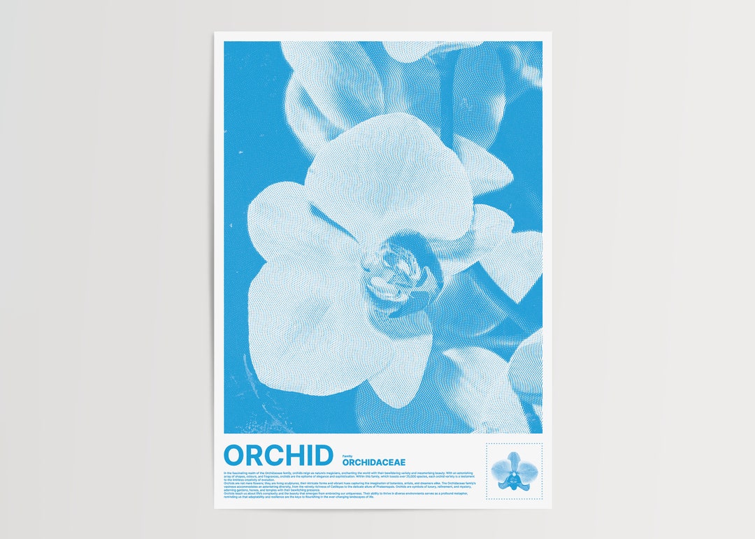 Orchid Flower Poster Aesthetic Minimalist Wall Art Print for Dorms ...