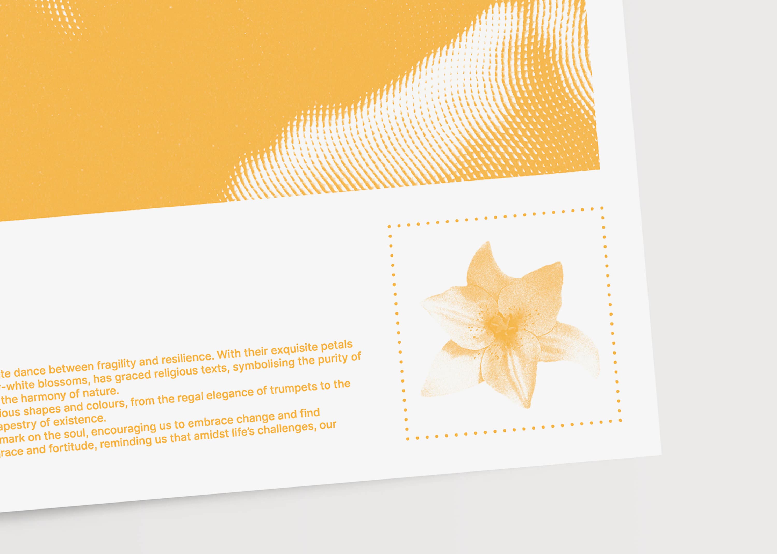 Lily Flower Poster Aesthetic Minimalist Wall Art Print for Dorms ...