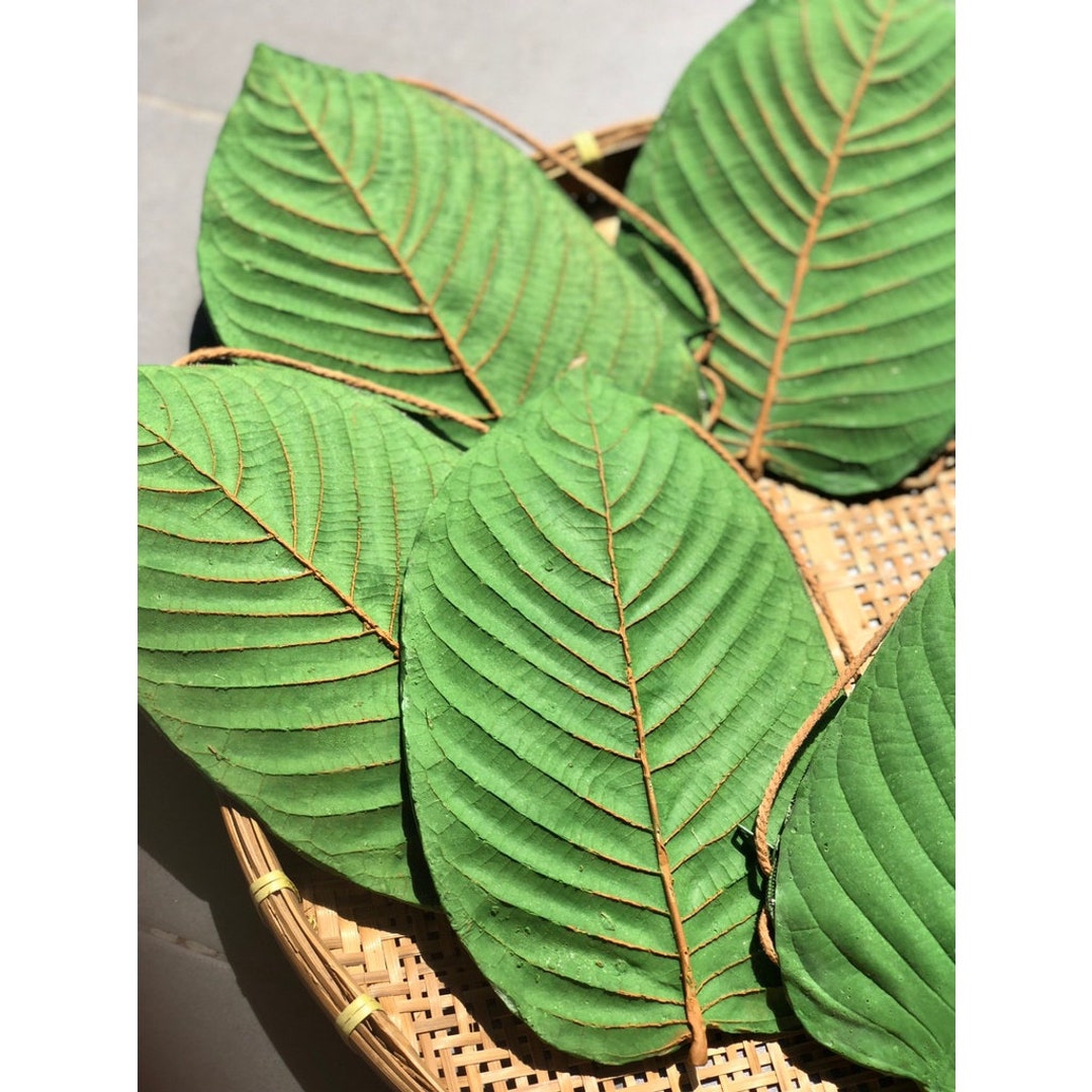 Handmade Leaf Wallet, Leaf Made of Rubber Leaf Shaped Bag - Etsy