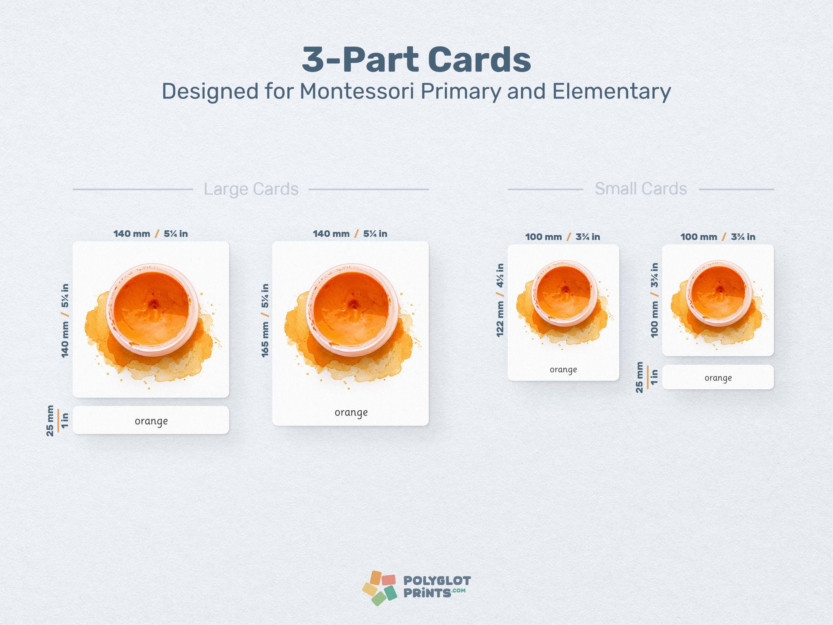 Montessori Color Flashcards for Kids - Printable Homeschool Resource ...