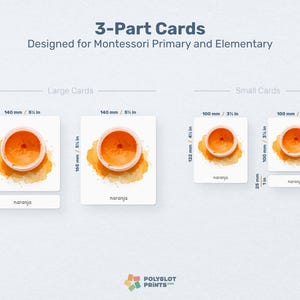 Spanish Color Flashcards for Kids | Montessori Language Learning Cards ...