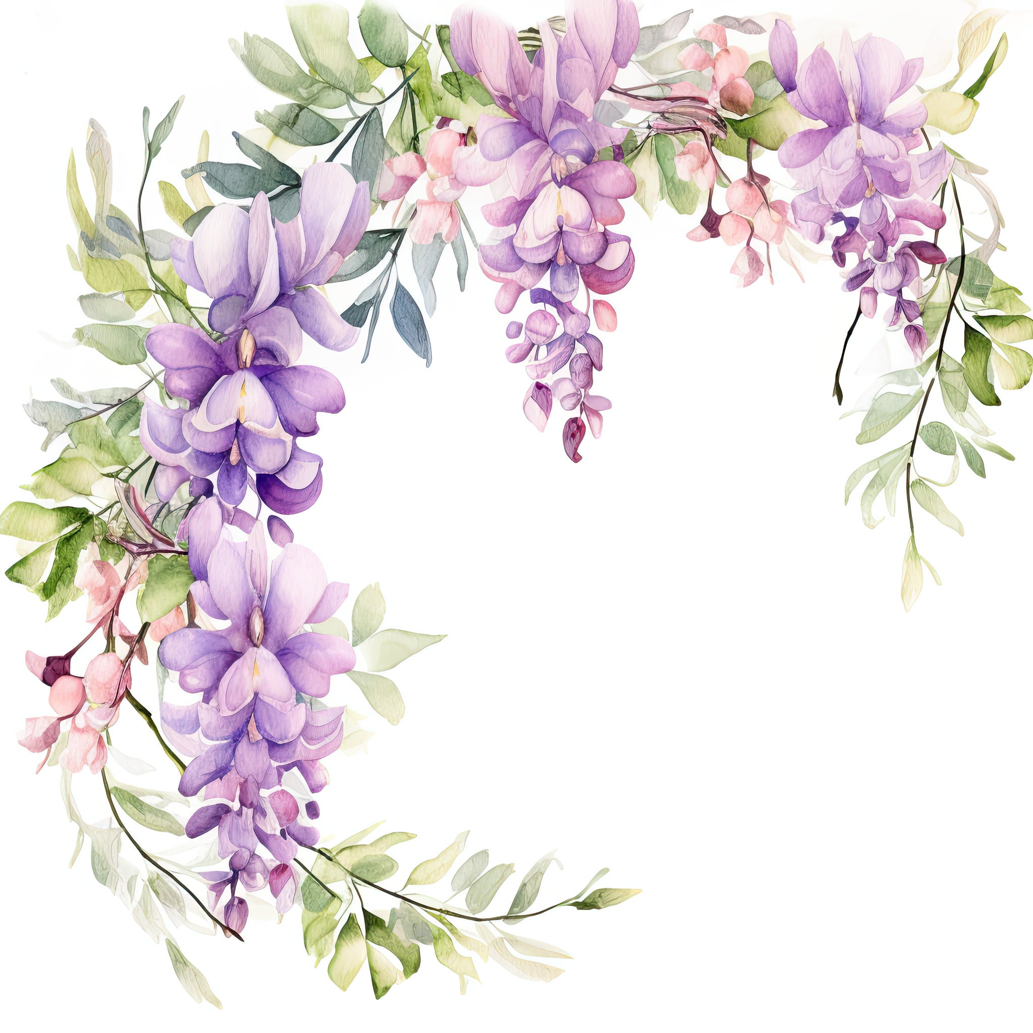 Wisteria Frame, 10 PNG Pack, Digital Download, Watercolor Clipart ...