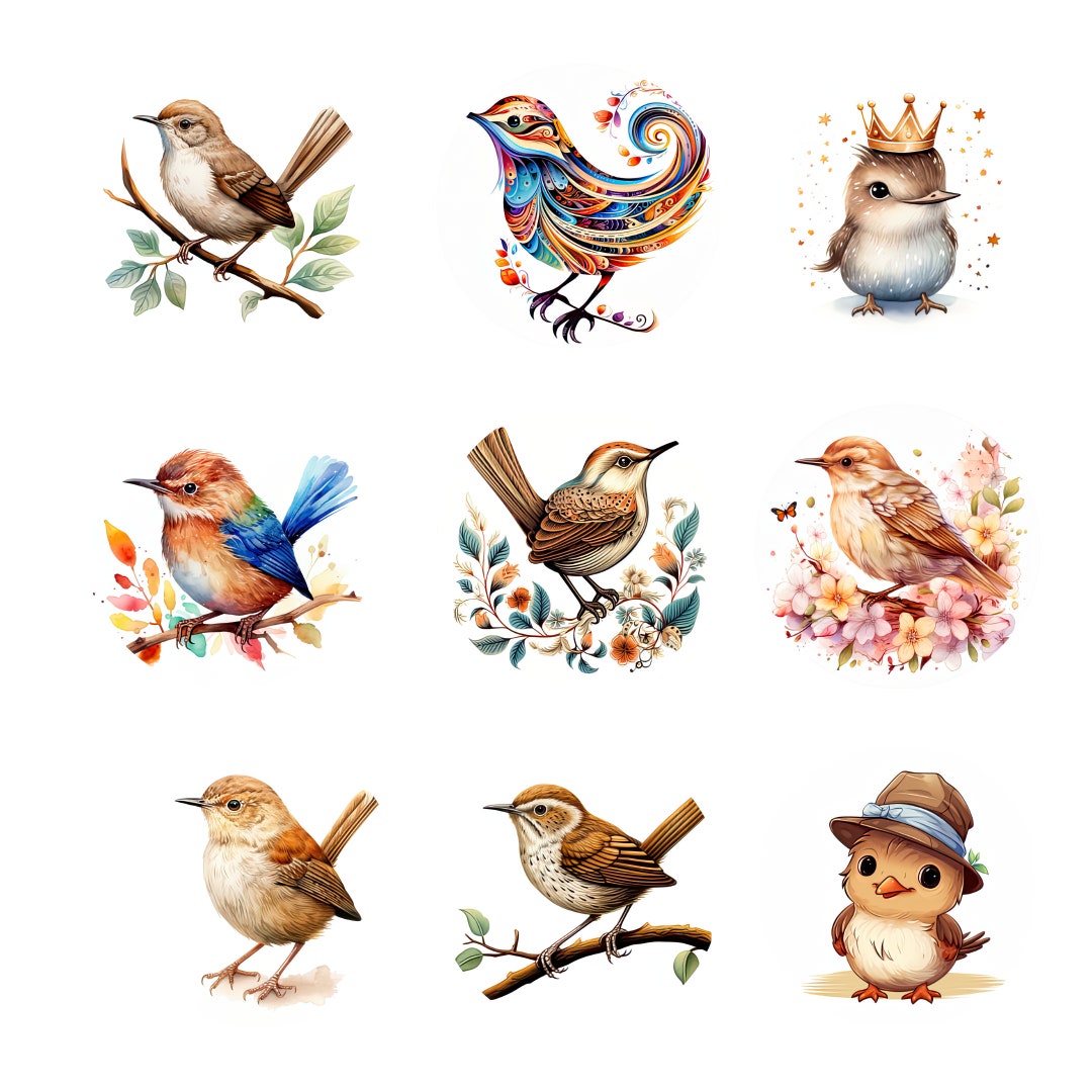 Wren Bird, 10 PNG Pack, Digital Download, Watercolor Clipart ...