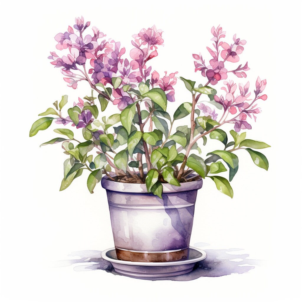 Spring Planters Clipart, 10 PNG Pack, Digital Download, Watercolor ...