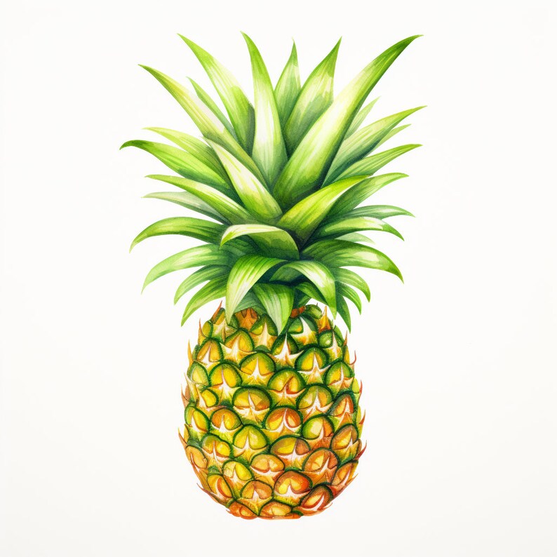 Pineapple Clipart, 10 PNG Pack, Digital Download, Watercolor Clipart ...