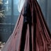 Made to Order Long Victorian Gothic Princess Tulle Taffeta Vampire ...
