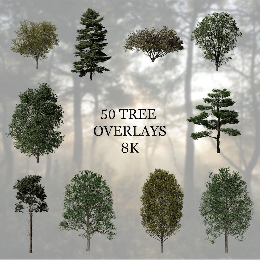 50 8k Tree Overlays Bundle - Enhance Your Edits - Photoshop Overlays ...