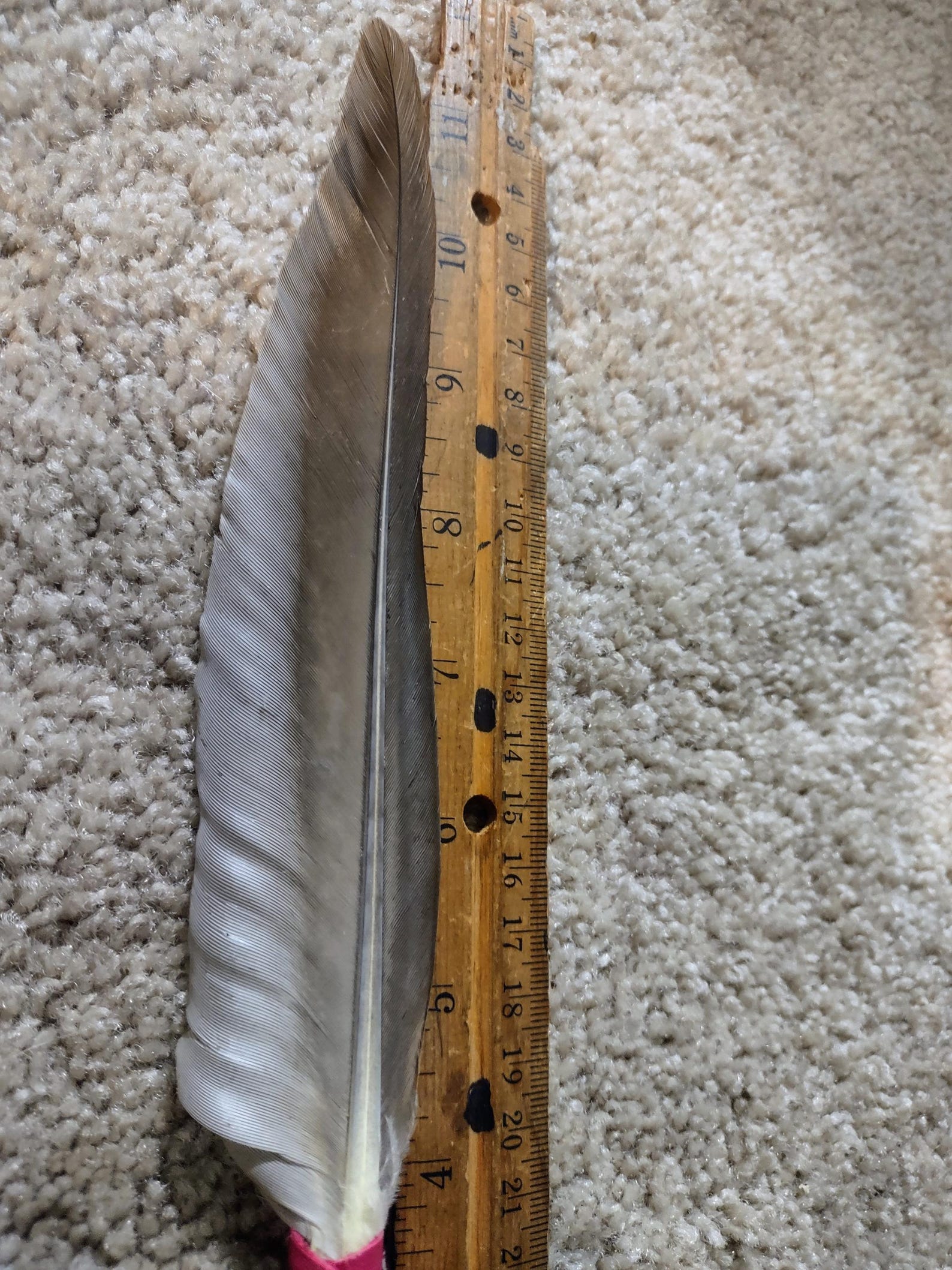 Sage Feather Tool, Feather Wafting Wands. Sage Feather Fan or Home ...