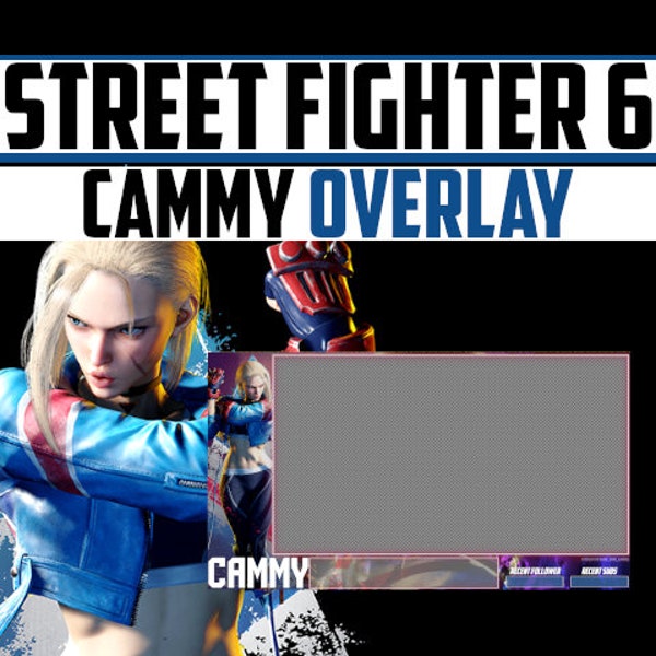 Street Fighter Stream Overlay - Etsy