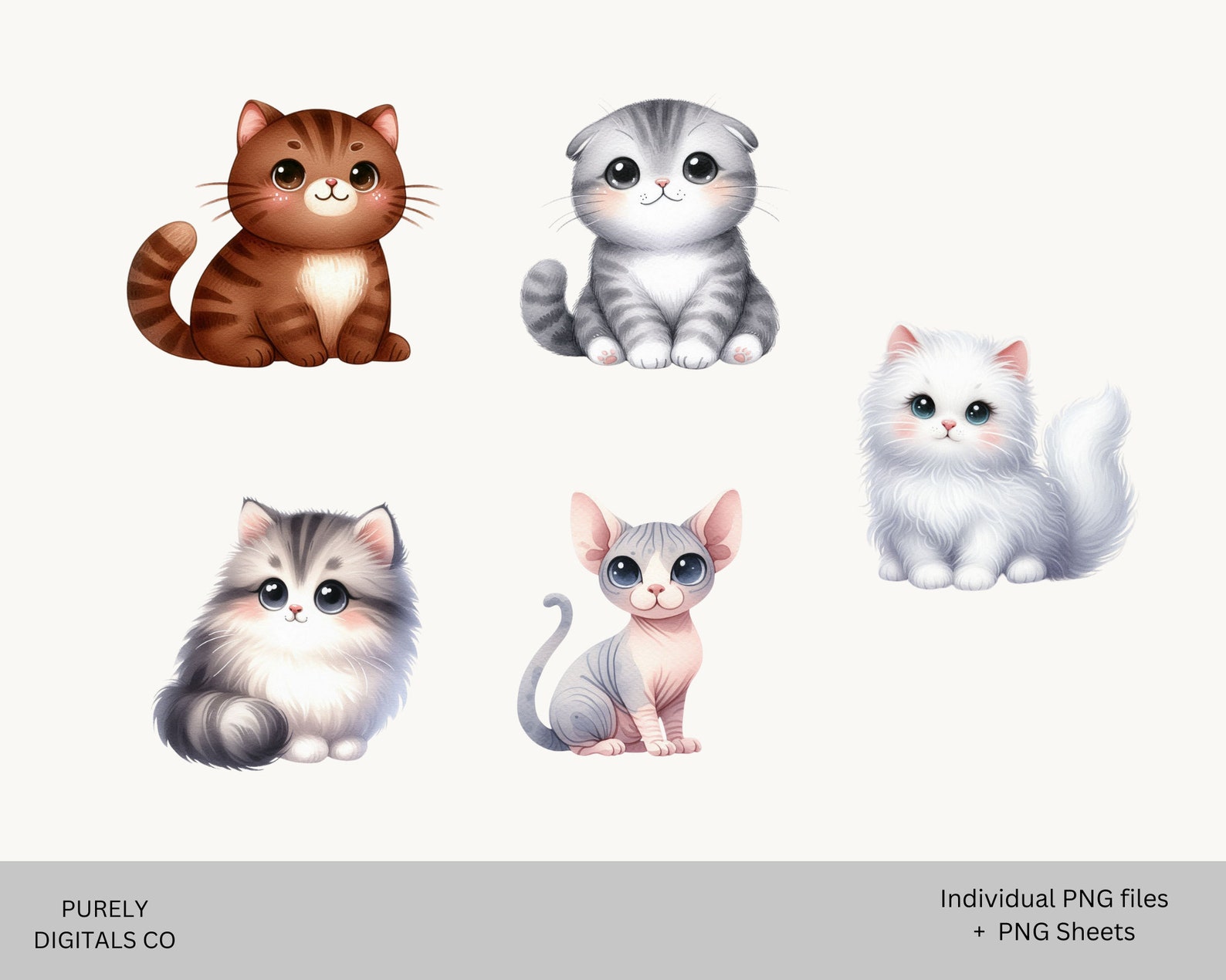 Cat Breeds Clipart, Cute Watercolor Png Images, Kitten Digital Stickers ...