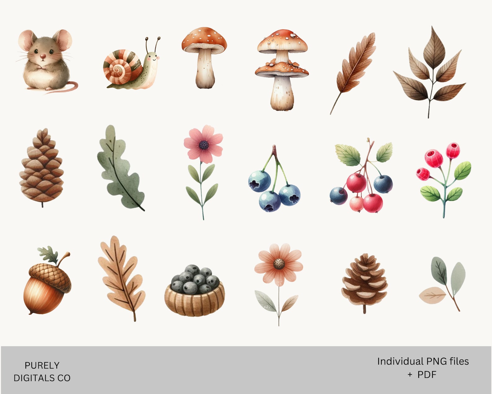 Woodland Animals Watercolor Clipart, Forest Animal Art Png, Nursery ...