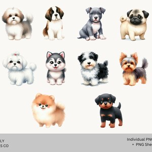 Dog Breeds Clipart, Watercolor Puppy Clip Art, Cute Dog Png Images, Pet ...