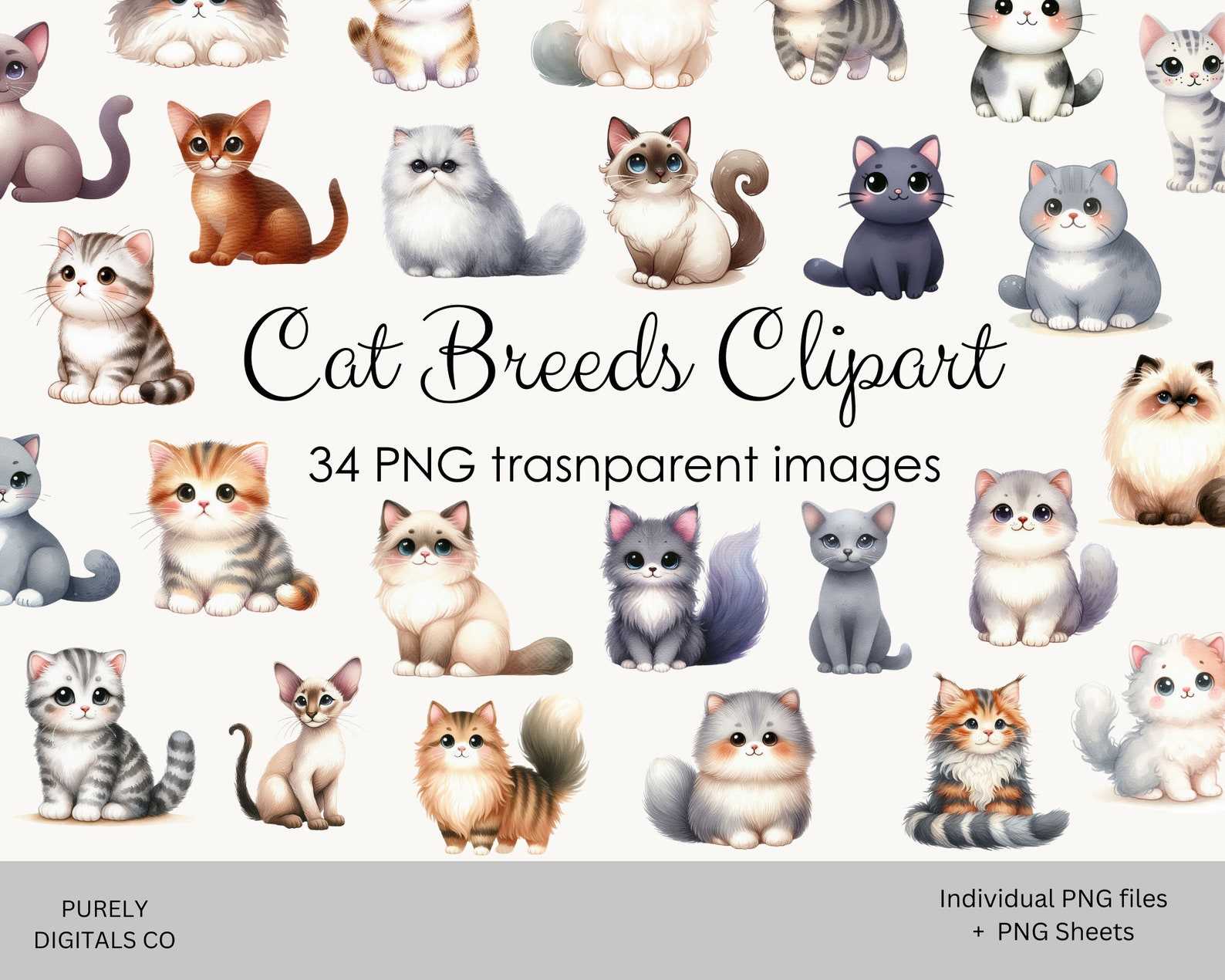 Cat Breeds Clipart, Cute Watercolor Png Images, Kitten Digital Stickers ...