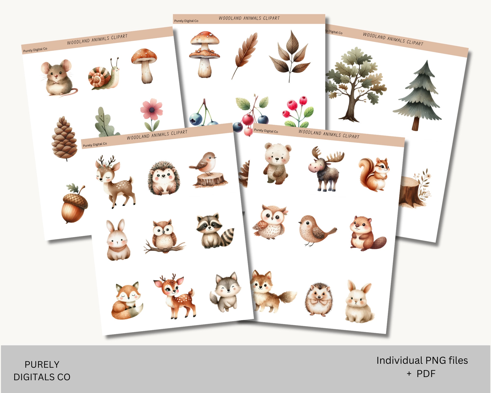 Woodland Animals Watercolor Clipart, Forest Animal Art Png, Nursery ...