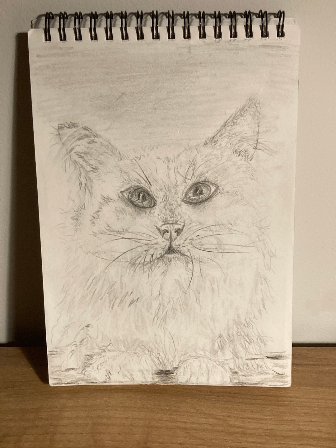 Long Haired Cat Sketch Drawing - Etsy