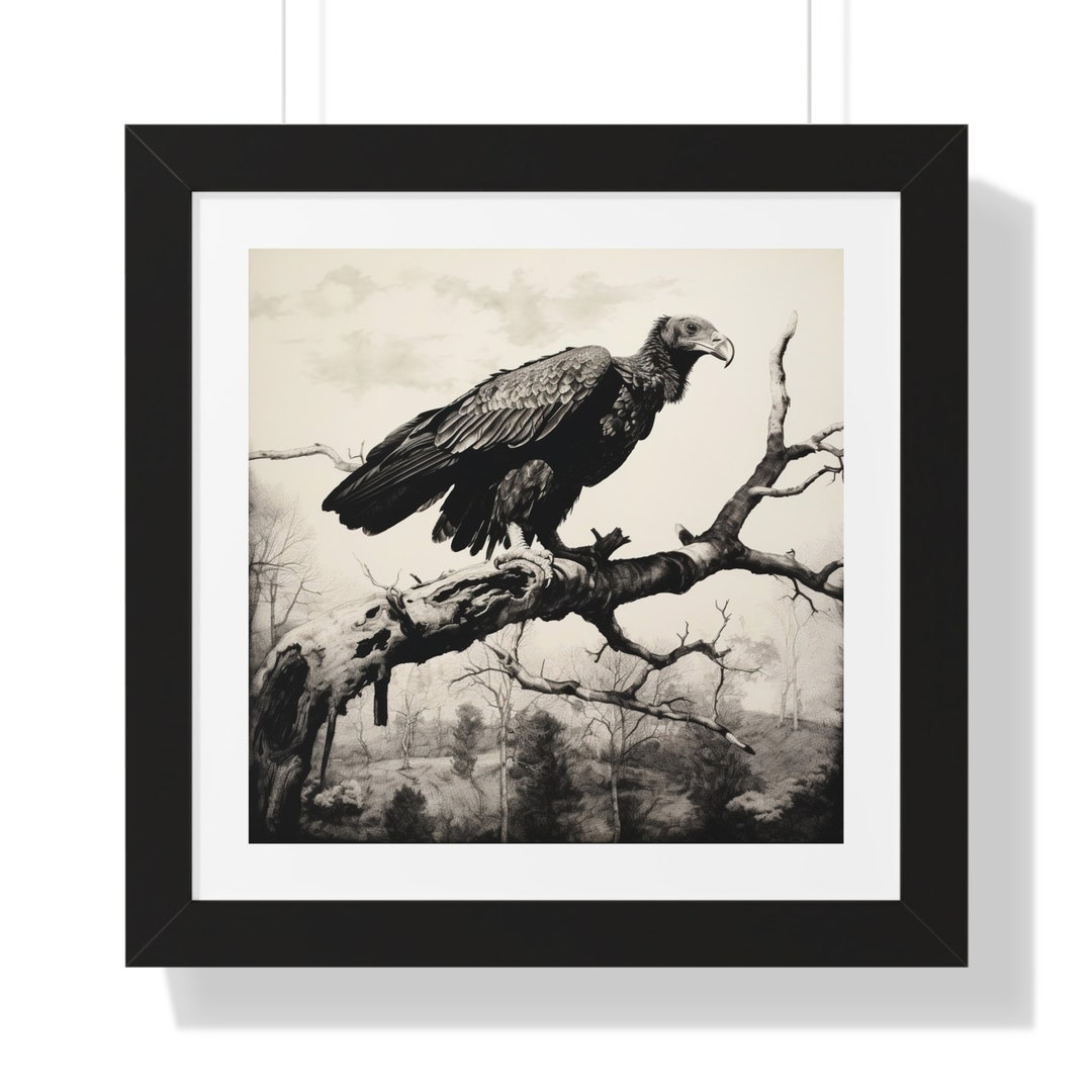 Turkey Vulture, Pen Ink Drawing, Vulture Framed Poster, Vulture Framed ...