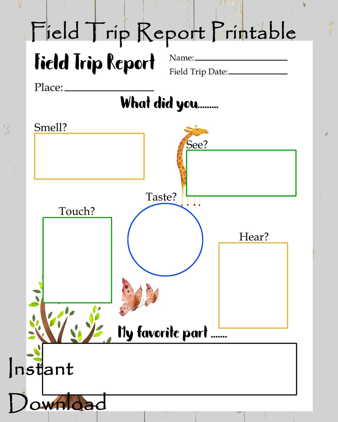 Field Trip Report Worksheet Printable, Class Trip Worksheet, Grade ...